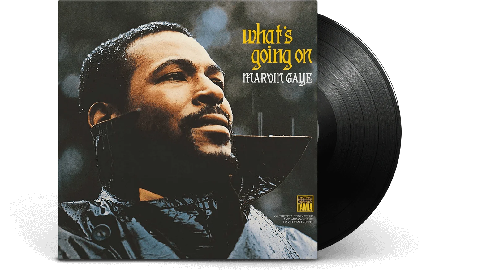 Marvin Gaye - What's Going On LP – Steamboat.ie
